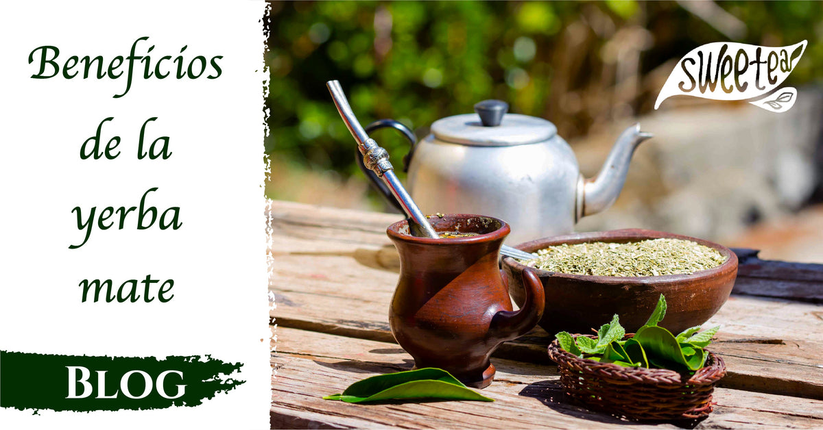 7 beneficios de la yerba mate confirmados por la ciencia